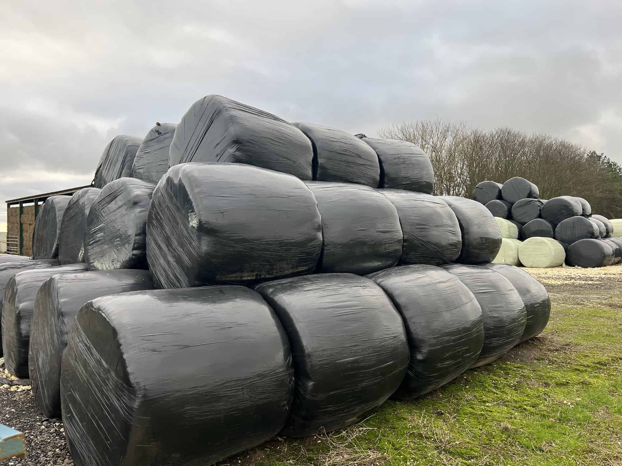 GRASS SILAGE x 100 - GM Stephenson Ltd