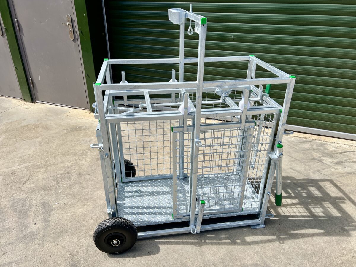 CONDON LAMB WEIGHING CRATE - GM Stephenson Ltd
